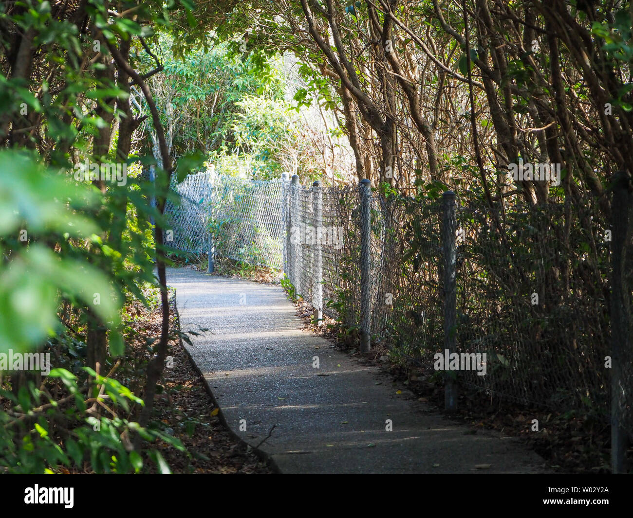 Pathway through headland, with plants forming a pretty natural arch ...