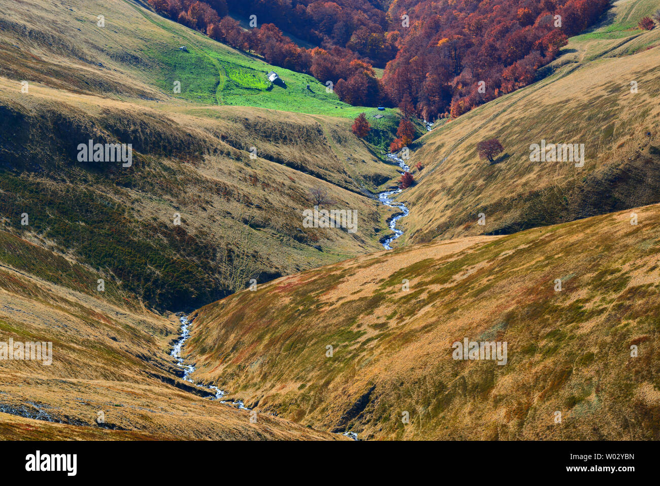 Fall colored trees hi-res stock photography and images - Alamy