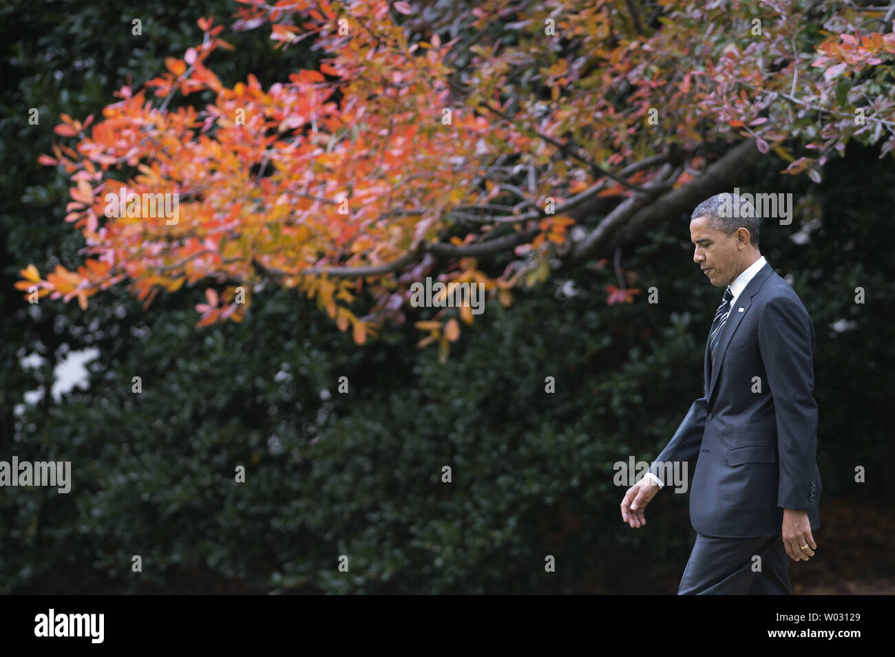 On november 15 2012 hi-res stock photography and images - Alamy