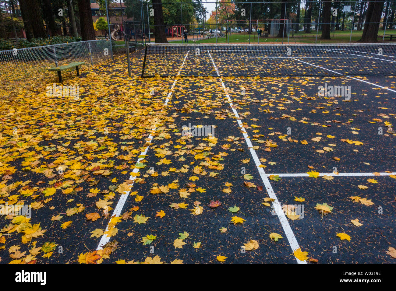 Autumn tennis court Stock Photo - Alamy