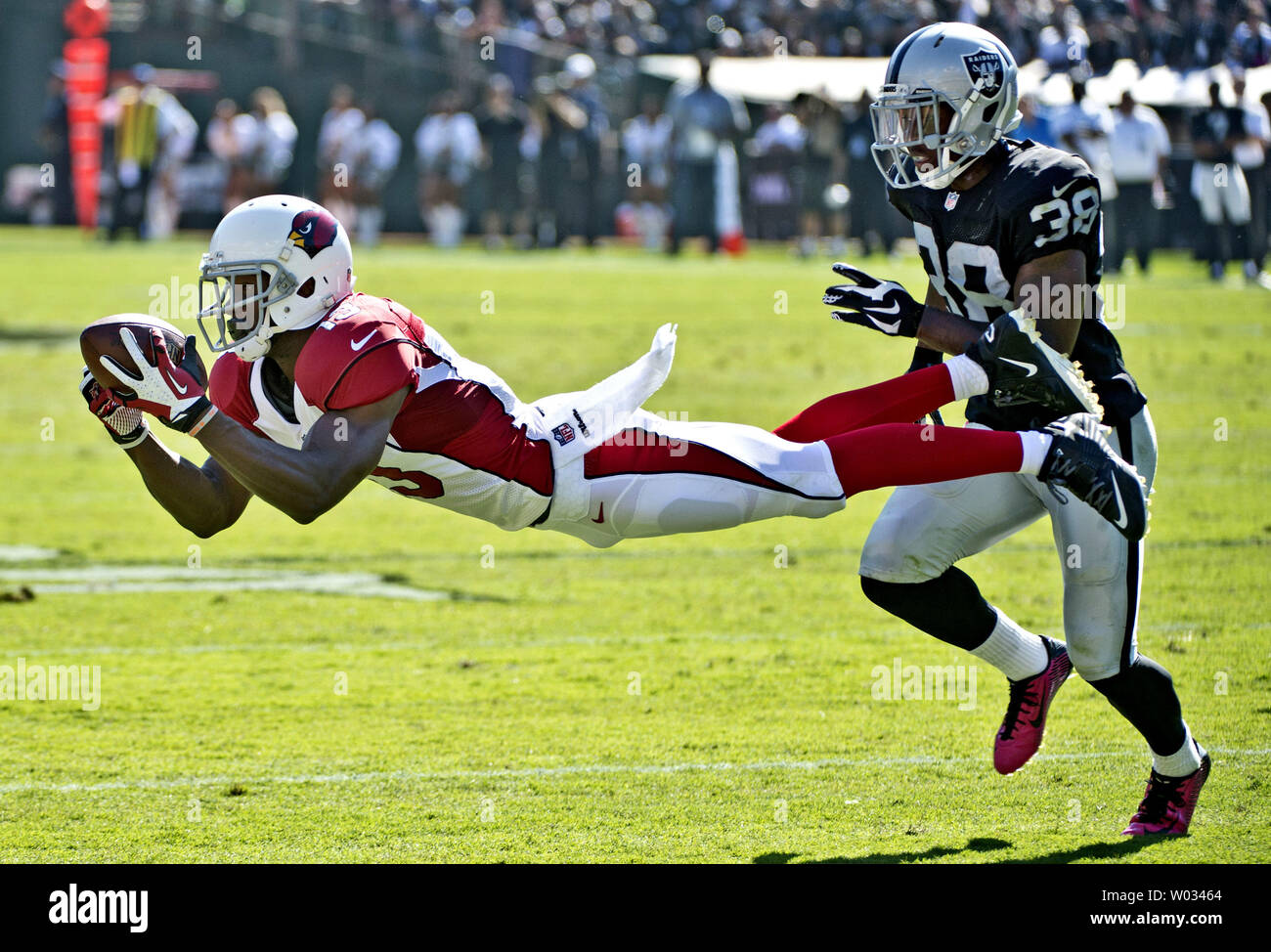 Tj carrie hi-res stock photography and images - Alamy