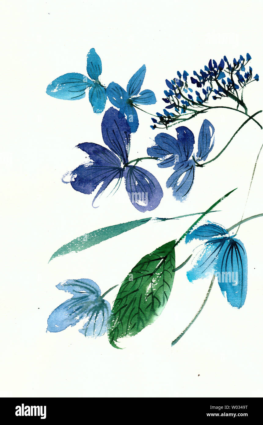 Leaves natural blue summer plant design spring decoration park ...