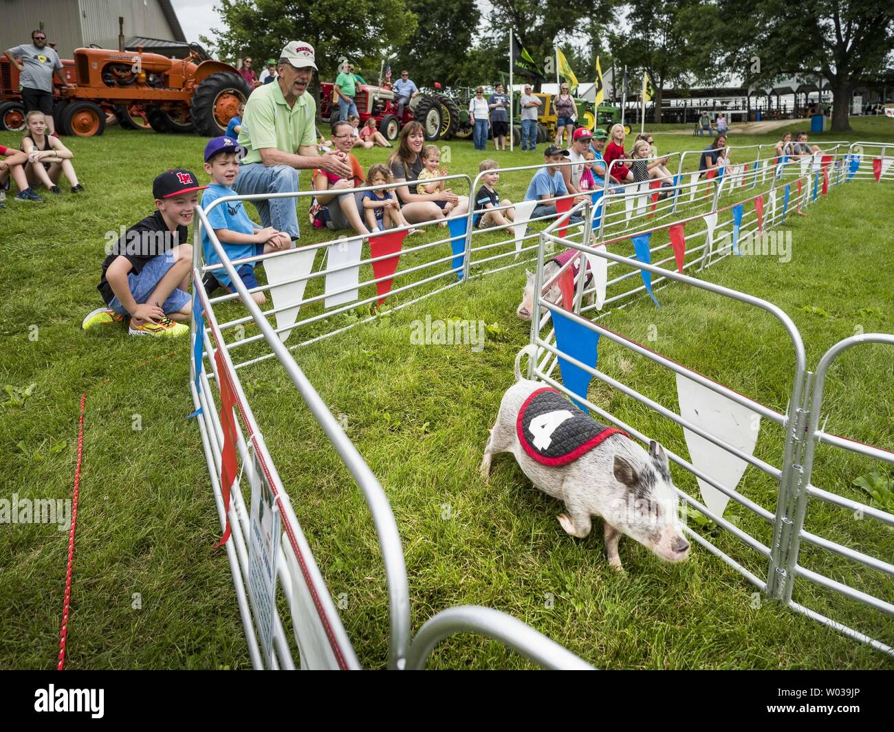 Pig racing fair hi-res stock photography and images - Alamy