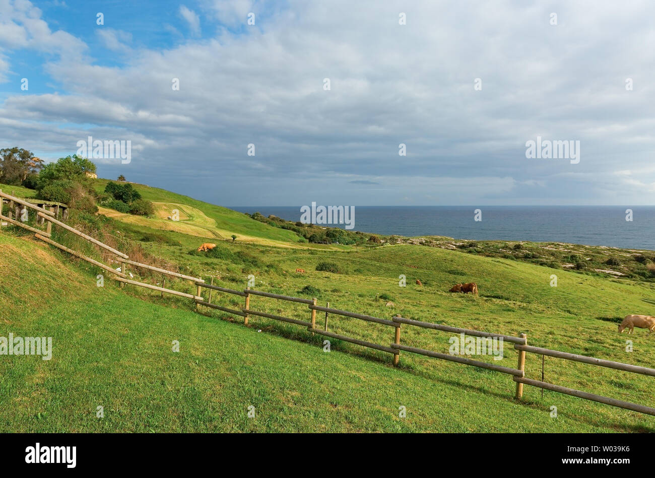 Ancient water meadows hi-res stock photography and images - Alamy