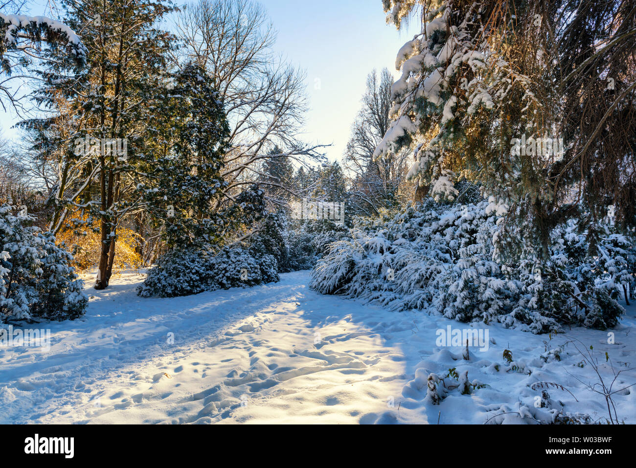 Beautiful winter morning hi-res stock photography and images - Alamy