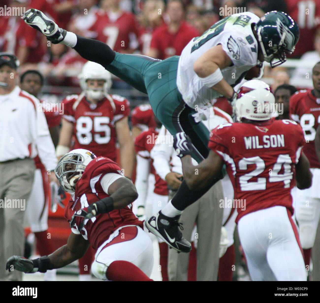 Philadelphia Eagles tight end Brent Celek (TOP) goes up in the air ...