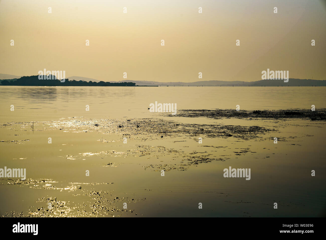 Lake taihu hi-res stock photography and images - Alamy