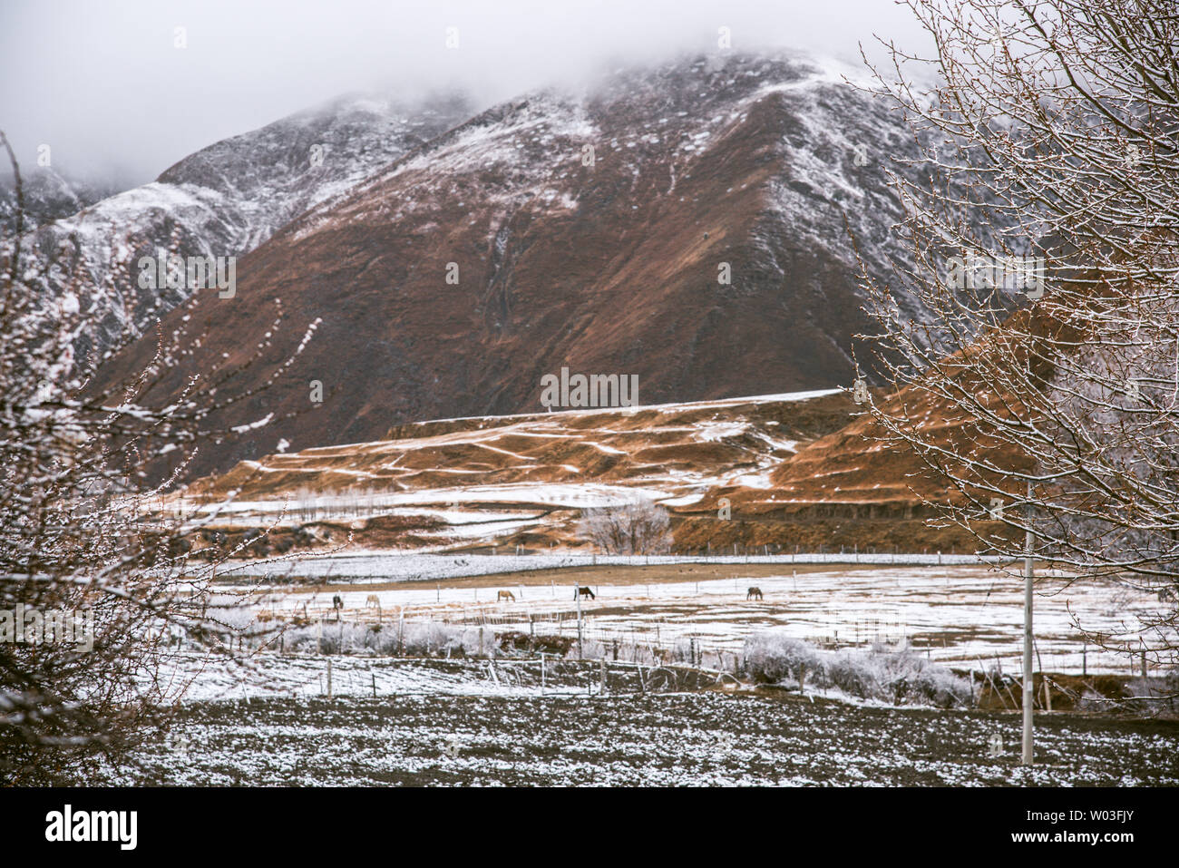 Xindu bridge scenery hi-res stock photography and images - Alamy