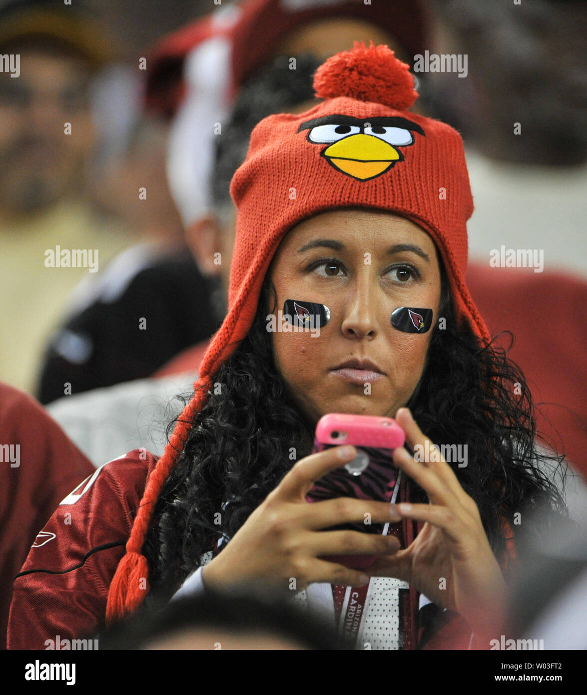 An Arizona Cardinals fan is a sad bird in the closing minutes of the ...
