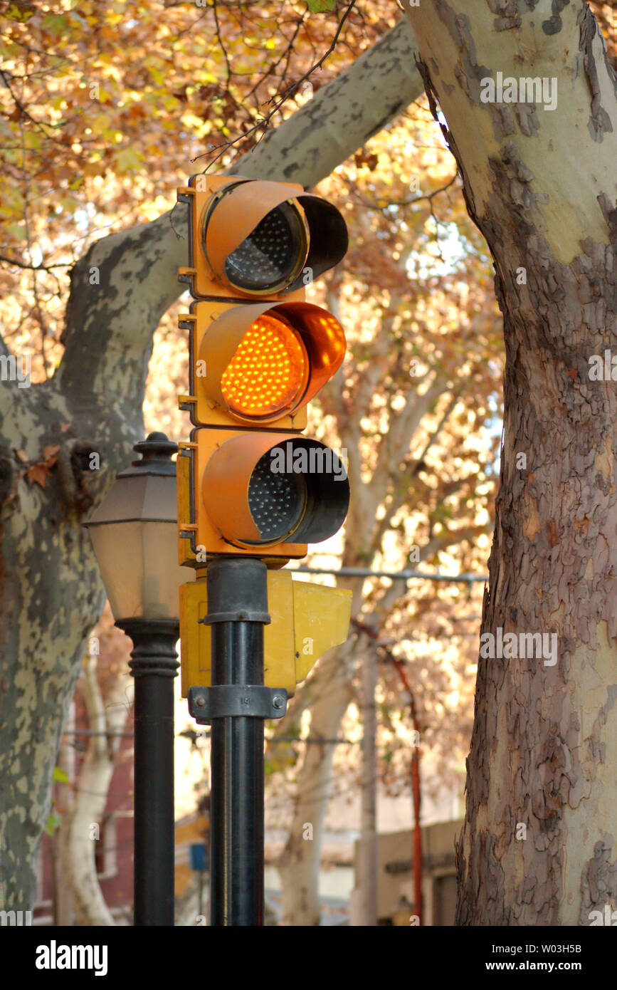 Yellow traffic light in Mendoza, Argentina Stock Photo - Alamy