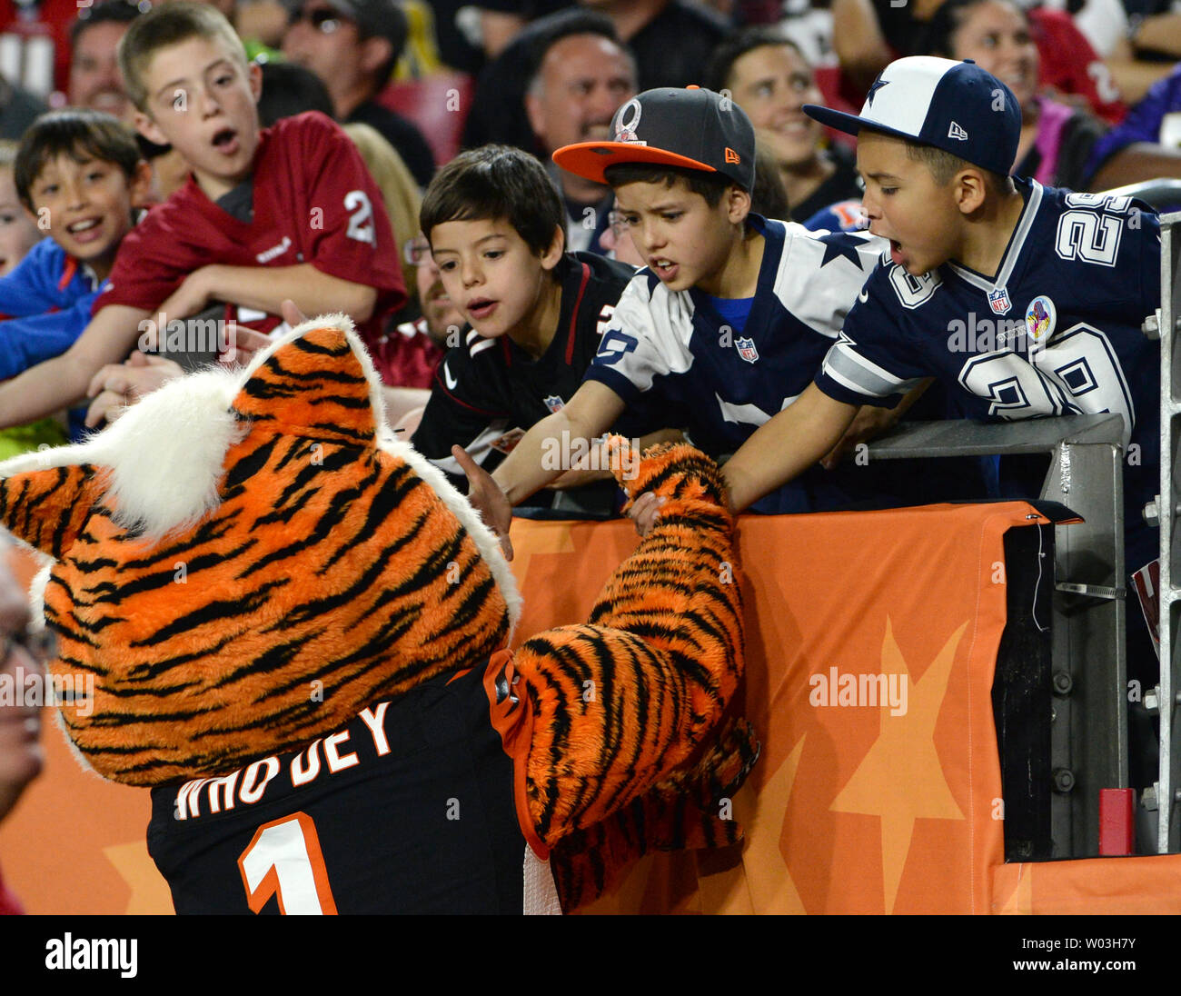 Young fans get the attention of the Cincinnati Bengals mascot Who Dey ...