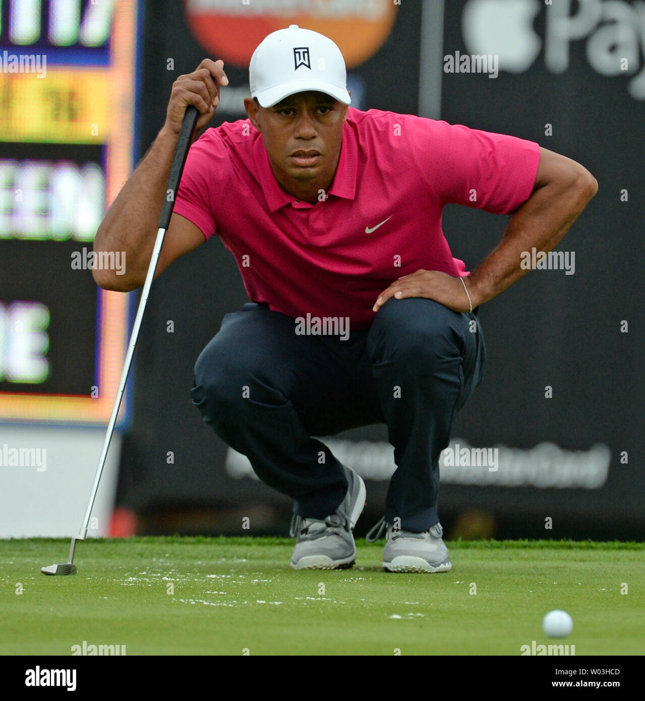 Tiger Woods lines up his put on the sixteenth hole of the Waste ...