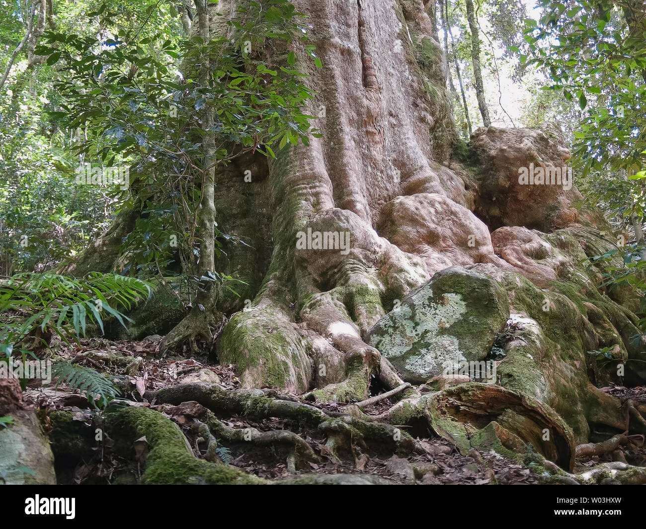 Tilt down shot hi-res stock photography and images - Alamy