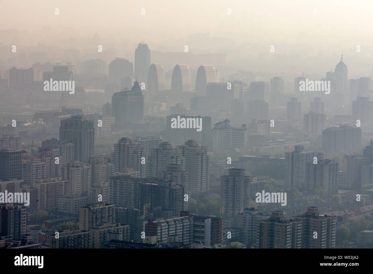 In the early morning of April 10, 2019, after the first spring rain ...