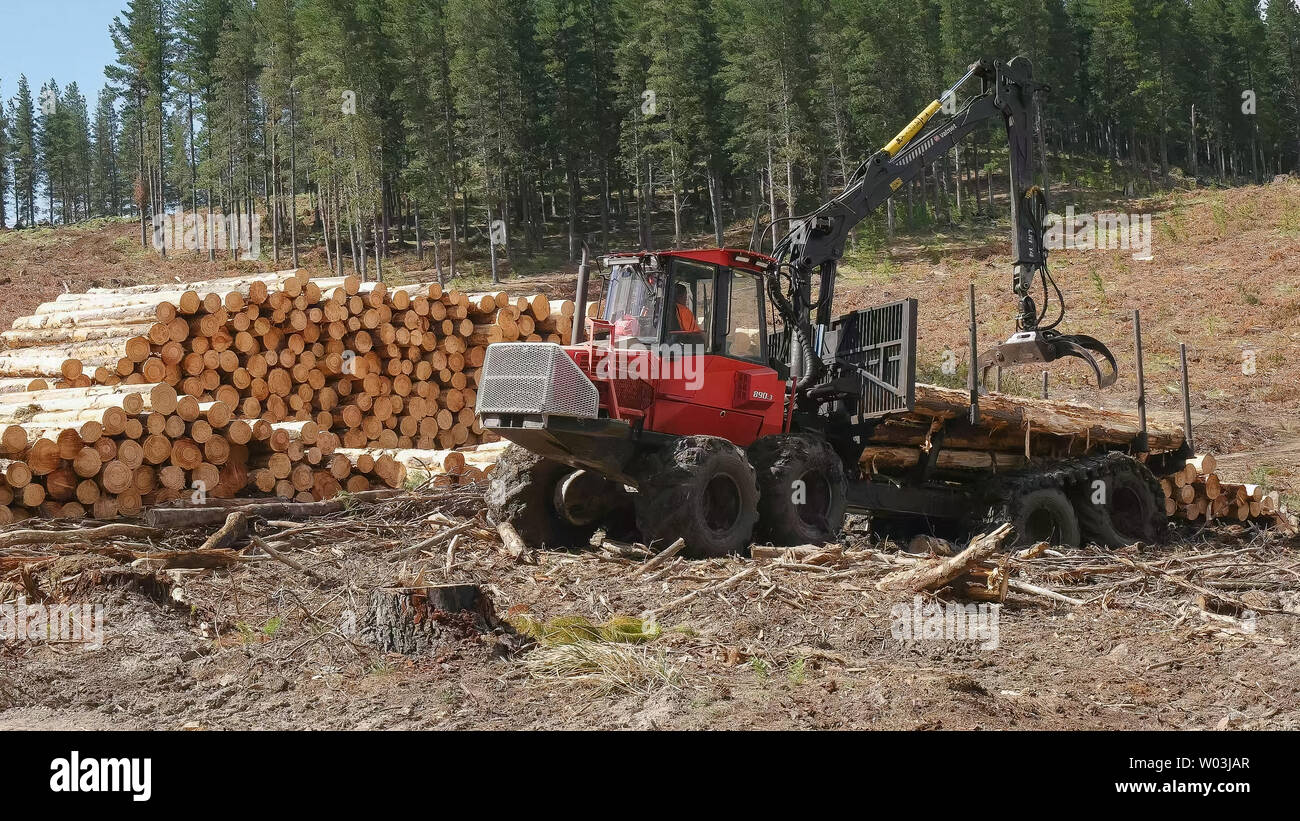 TARRALEAH, AUSTRALIA- JANUARY, 6, 2017: oblique view of a log loader ...