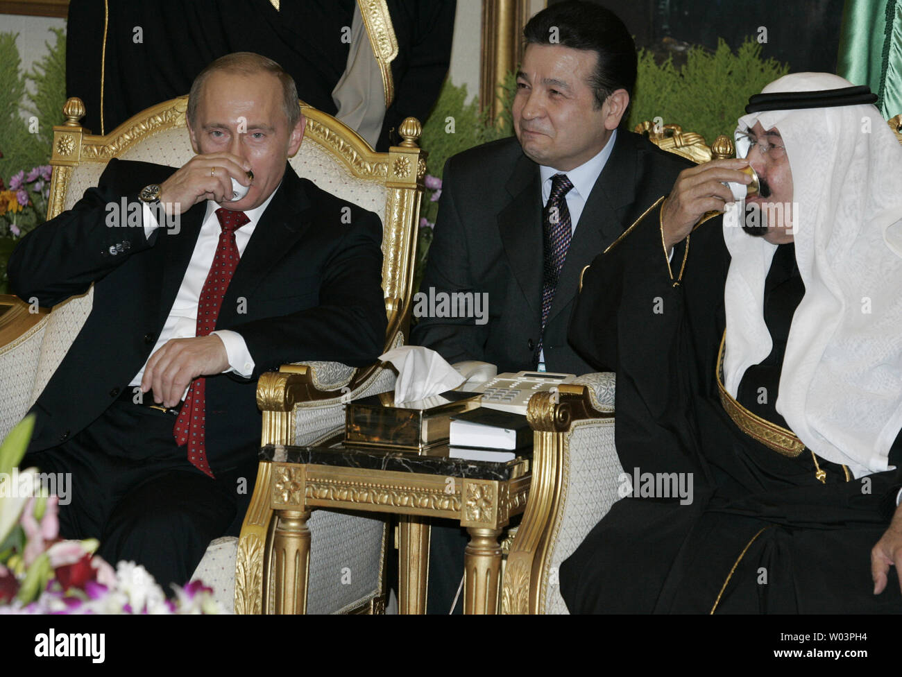 Russian president vladimir putin king hi-res stock photography and ...