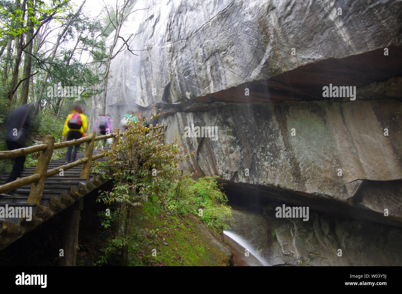 Shaanxi Zhenan Muwang National Sen Forest Park Stock Photo - Alamy