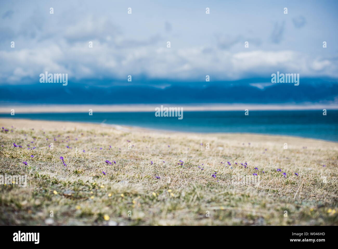 Northern xinjiang hi-res stock photography and images - Alamy