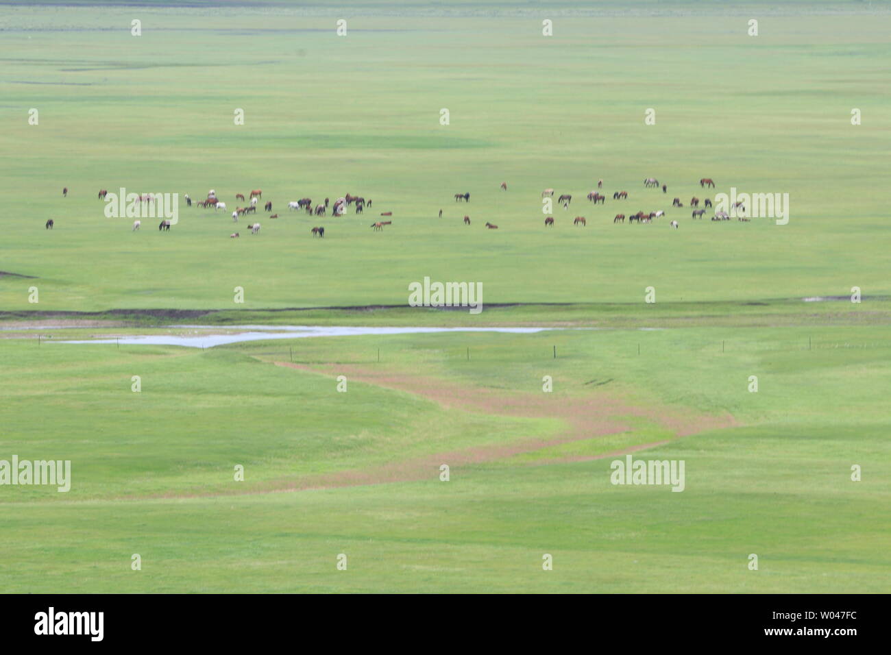 Erguna river erguna river wetland hi-res stock photography and images ...