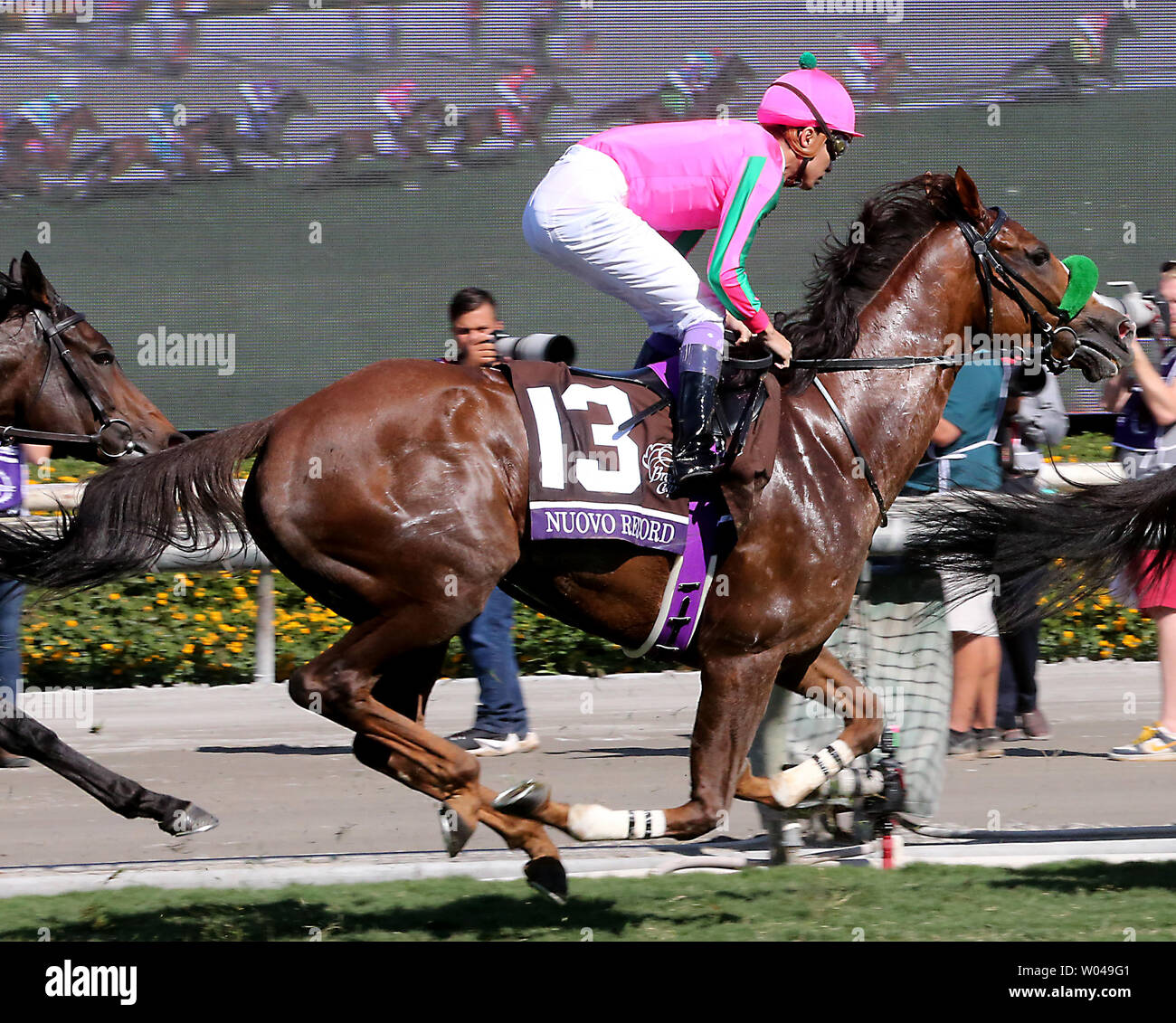 Japanese horse race hi-res stock photography and images - Alamy