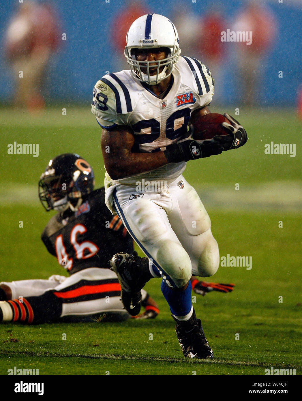 Miami dolphin 33 hi-res stock photography and images - Alamy