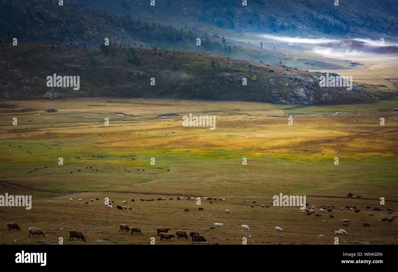 Kanas autumn color Stock Photo - Alamy