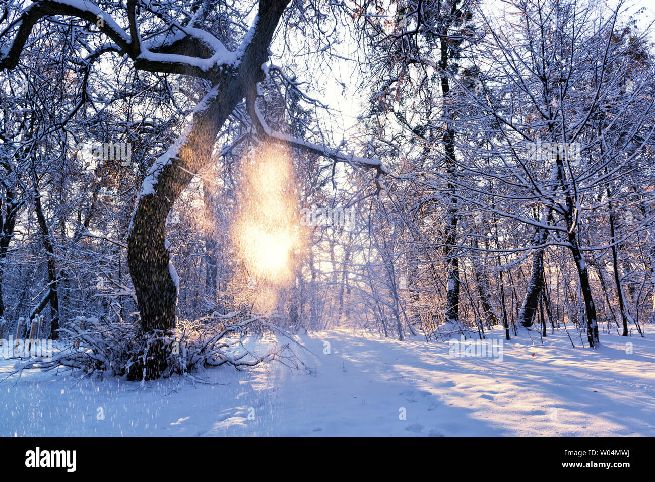 Morning sun rays light falling hi-res stock photography and images - Alamy
