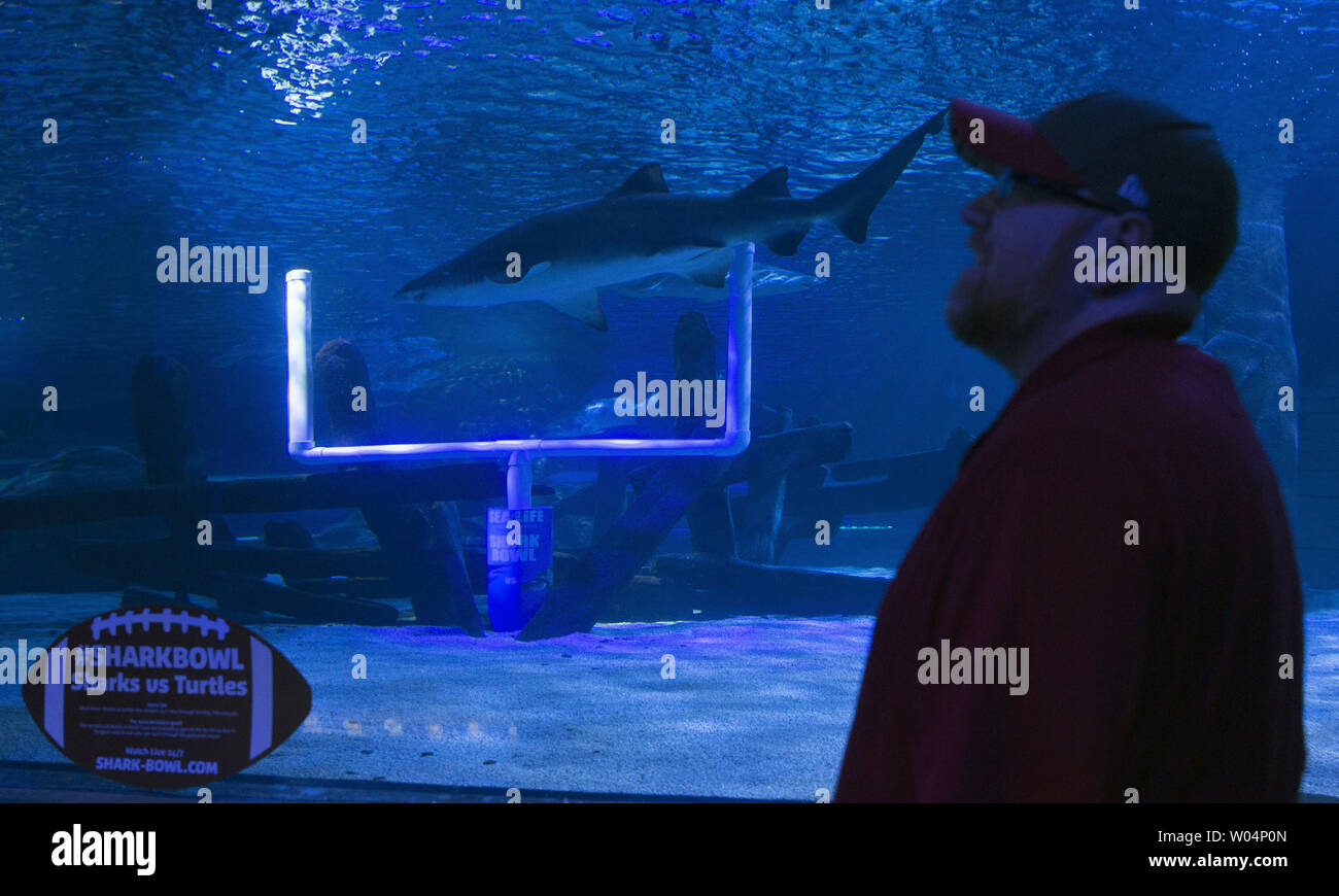 000 gallon shark tank hi-res stock photography and images - Alamy