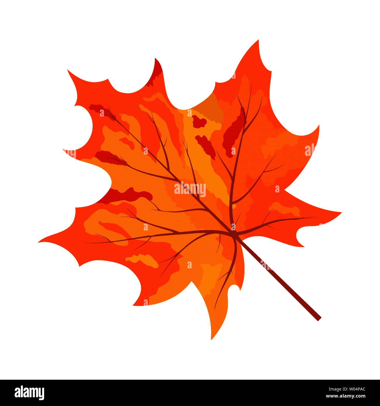 Autumn Maple Leaf. Fall Collection. Vector illustration Stock Vector ...