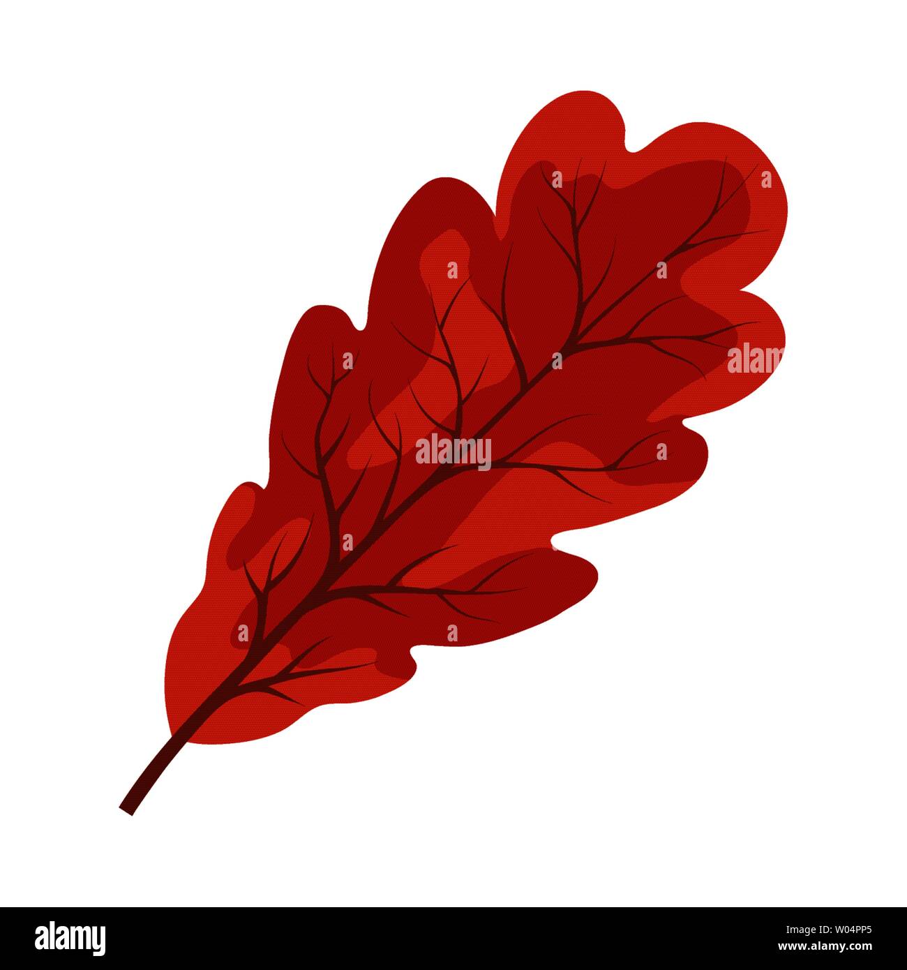 Autumn Oak Leaf. Fall Collection. Vector illustration Stock Vector ...