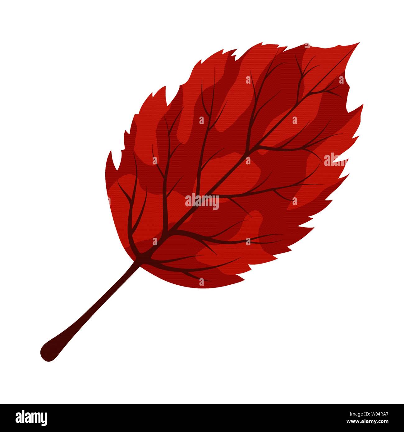 Autumn Birch Leaf. Fall Collection. Vector illustration Stock Vector ...