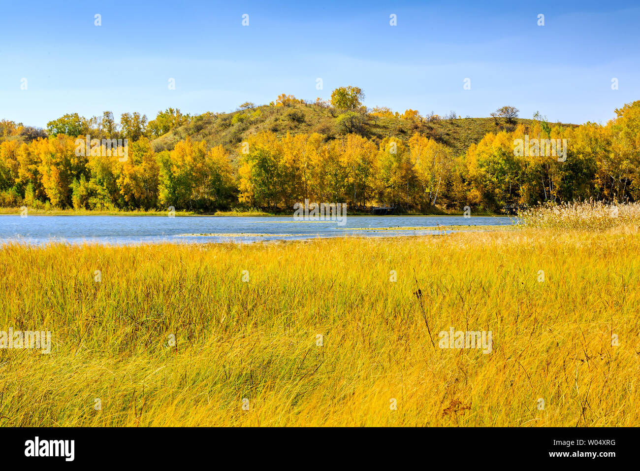 Autumn color of Taoshan Lake on paddock dam Stock Photo - Alamy
