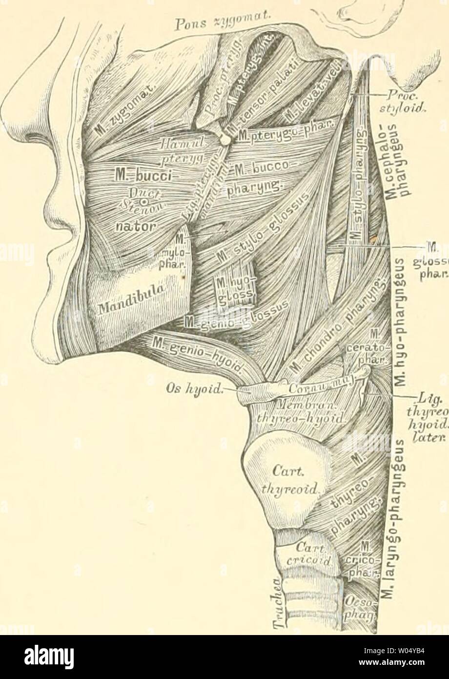 Entfernung der menschen hi-res stock photography and images - Alamy