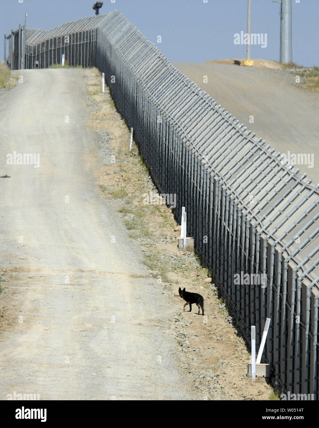A feral dog walks along the U.S.- Mexican border, May 13, 2006 ...