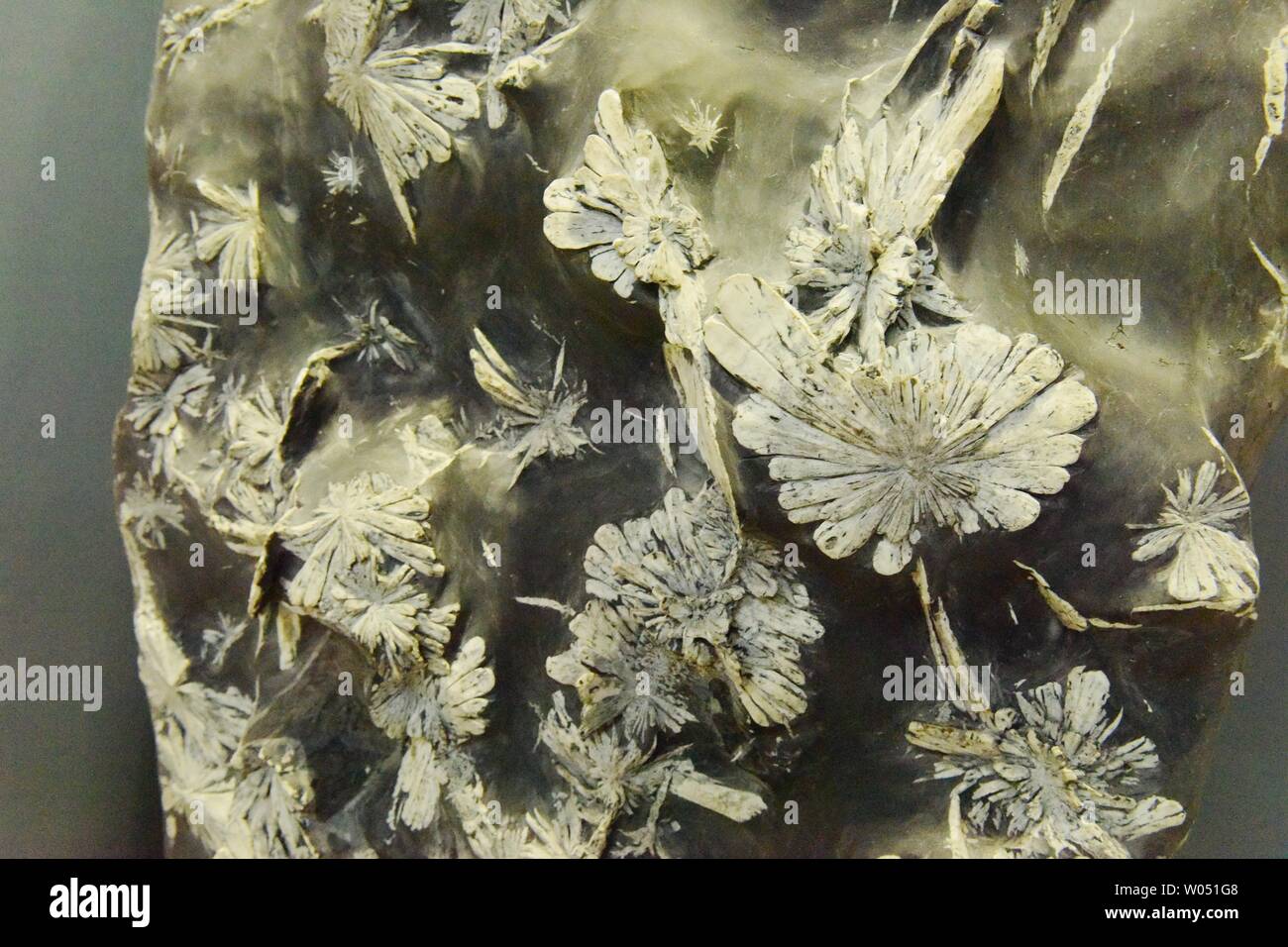 Materials rocks minerals hi-res stock photography and images - Alamy