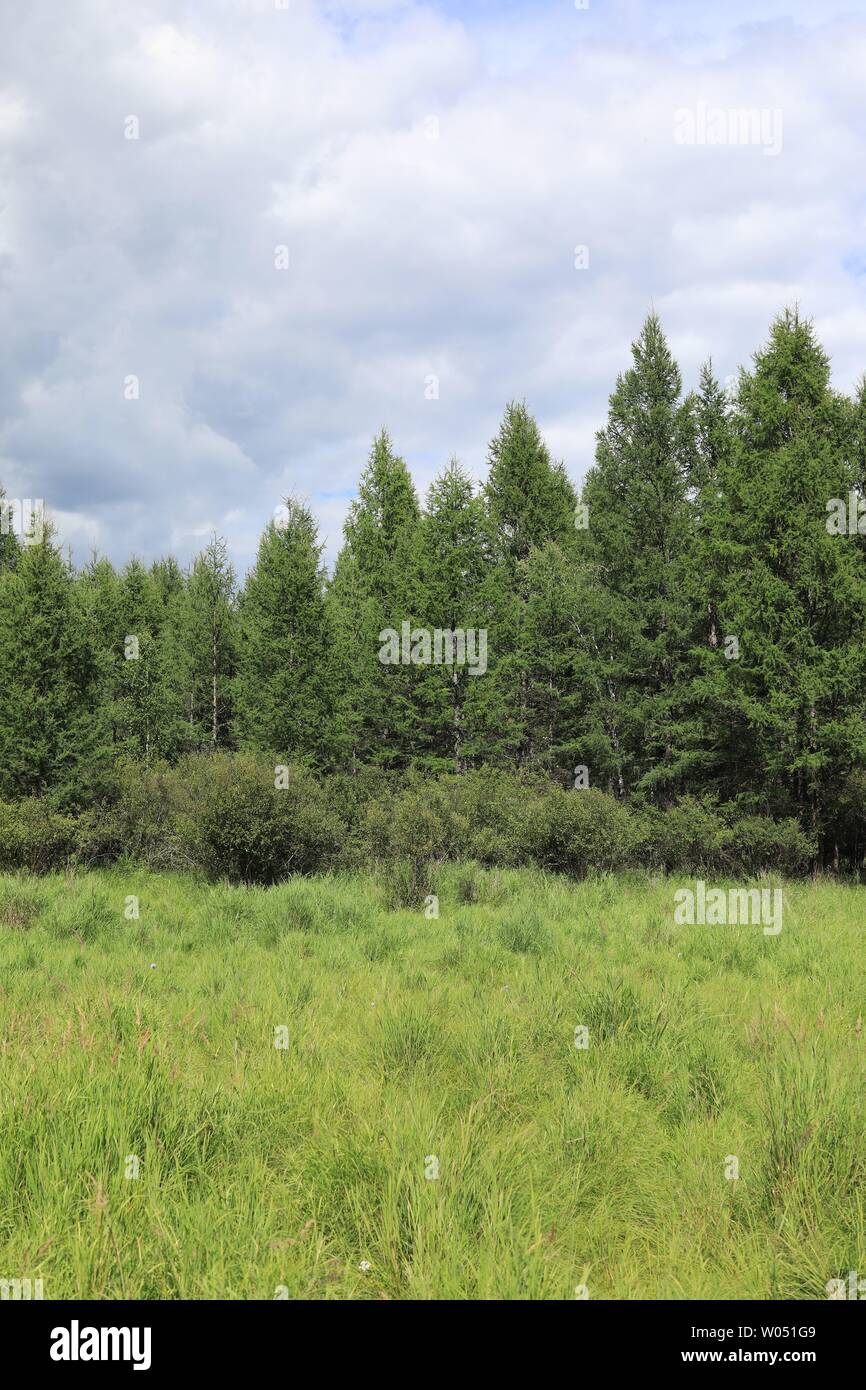 Mordaoga forest park hi-res stock photography and images - Alamy