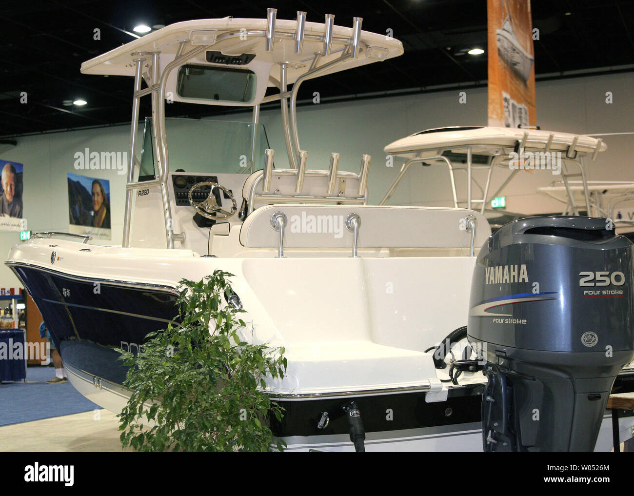 Robalo hi-res stock photography and images - Alamy