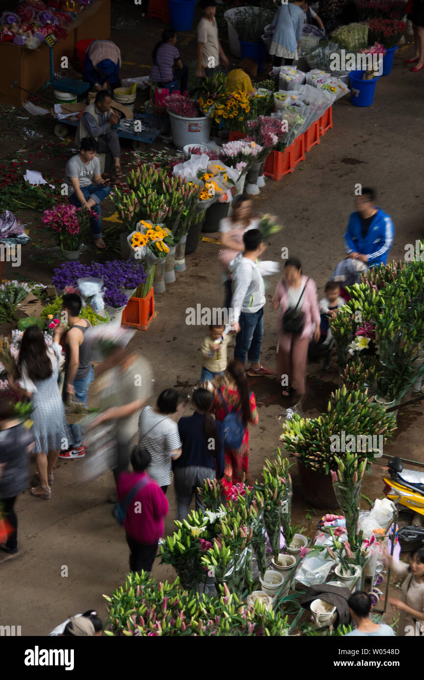 Dounan flower market hi-res stock photography and images - Alamy