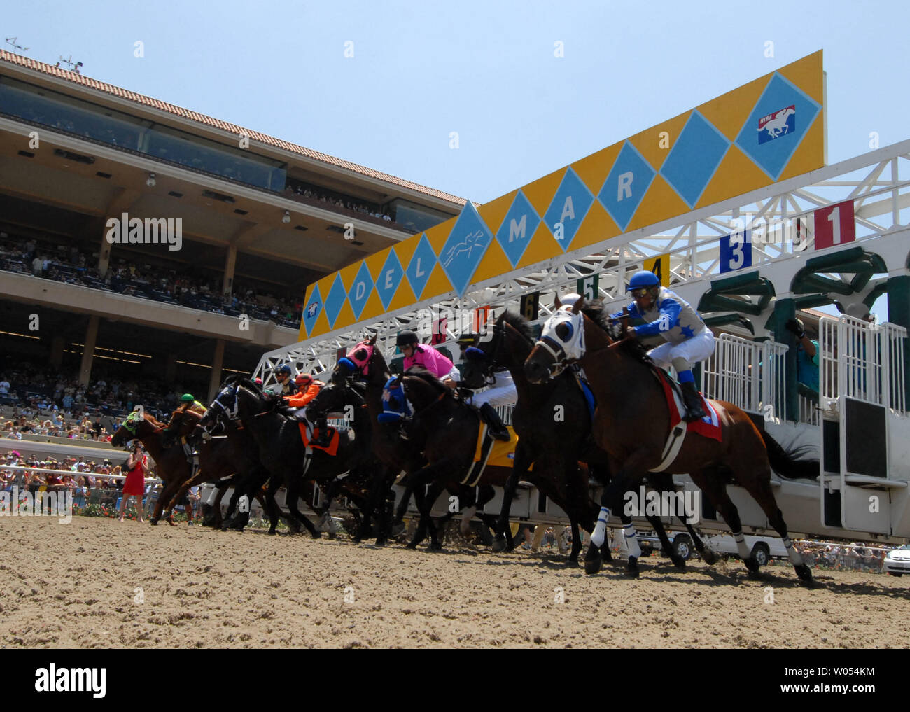 Thoroughbred horses along with their jockeys race down the track during ...