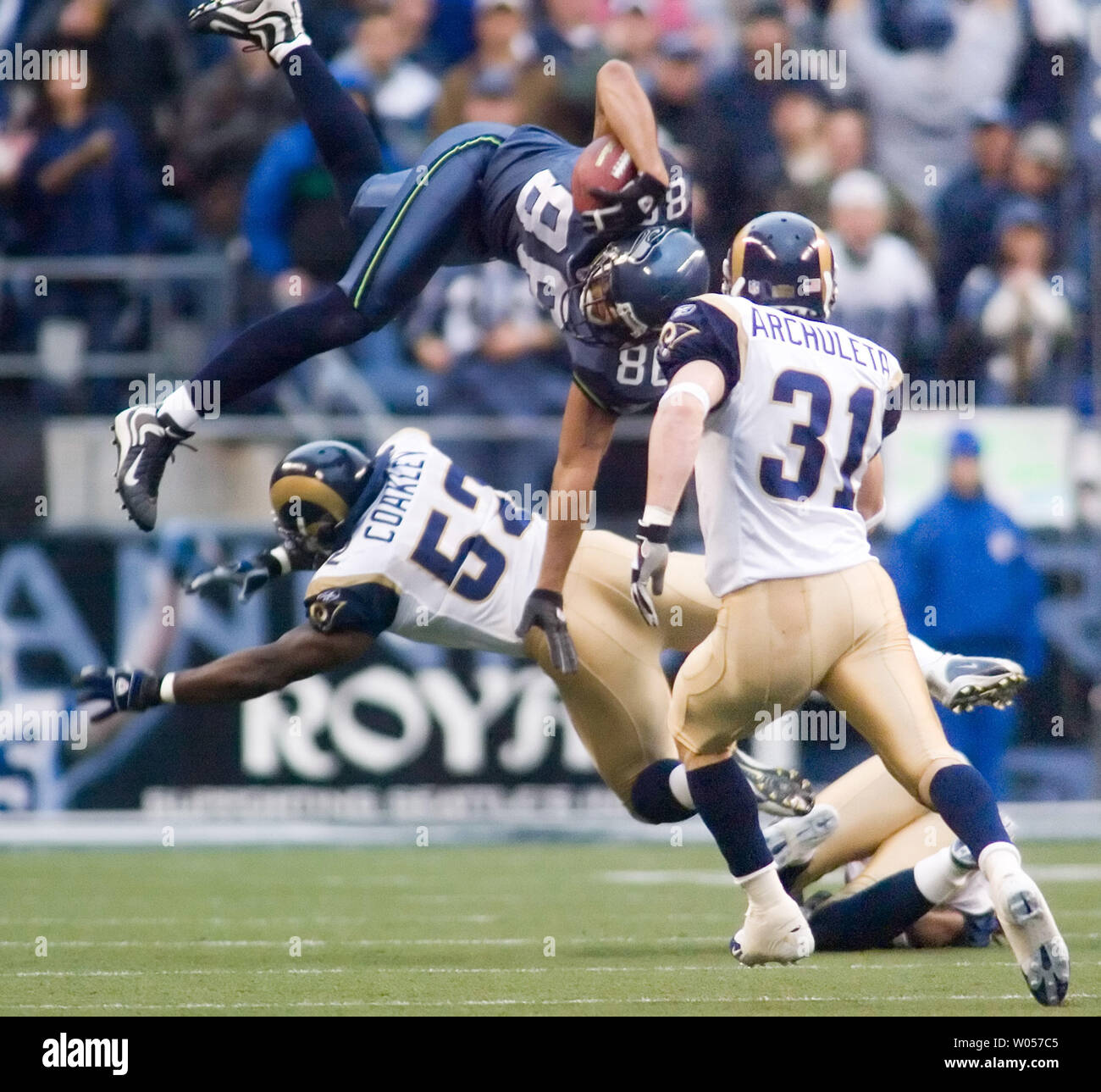 Jerremy fisher hi-res stock photography and images - Alamy