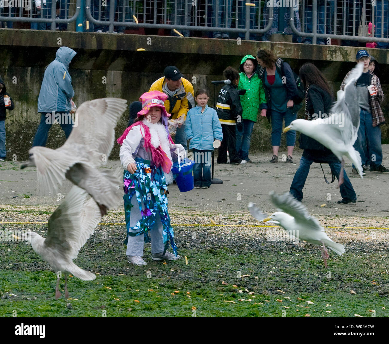 Augri Ana Wright entices seagulls with greasy French fries as bait ...