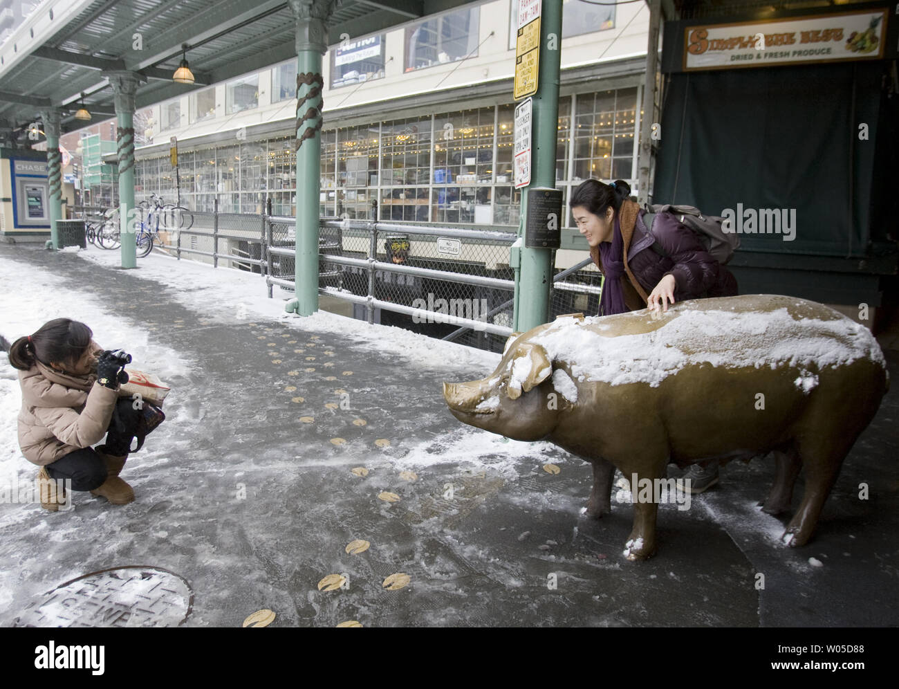 Rachel the pig hi-res stock photography and images - Alamy