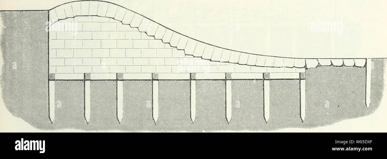 Ein hai hi-res stock photography and images - Alamy