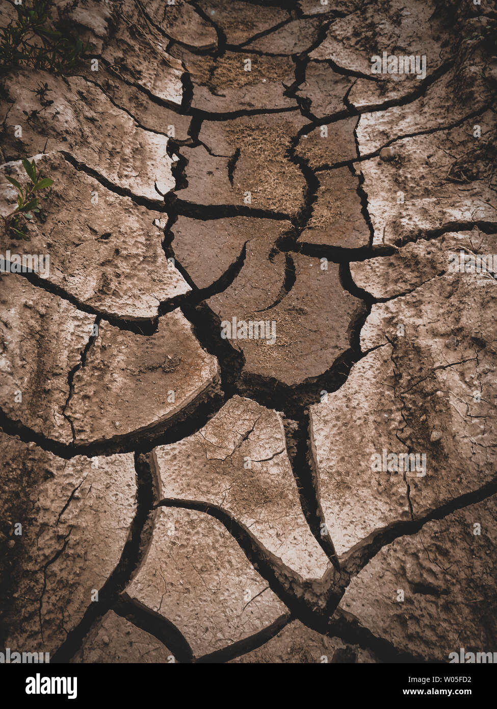 dry cracked brown earth background Stock Photo - Alamy