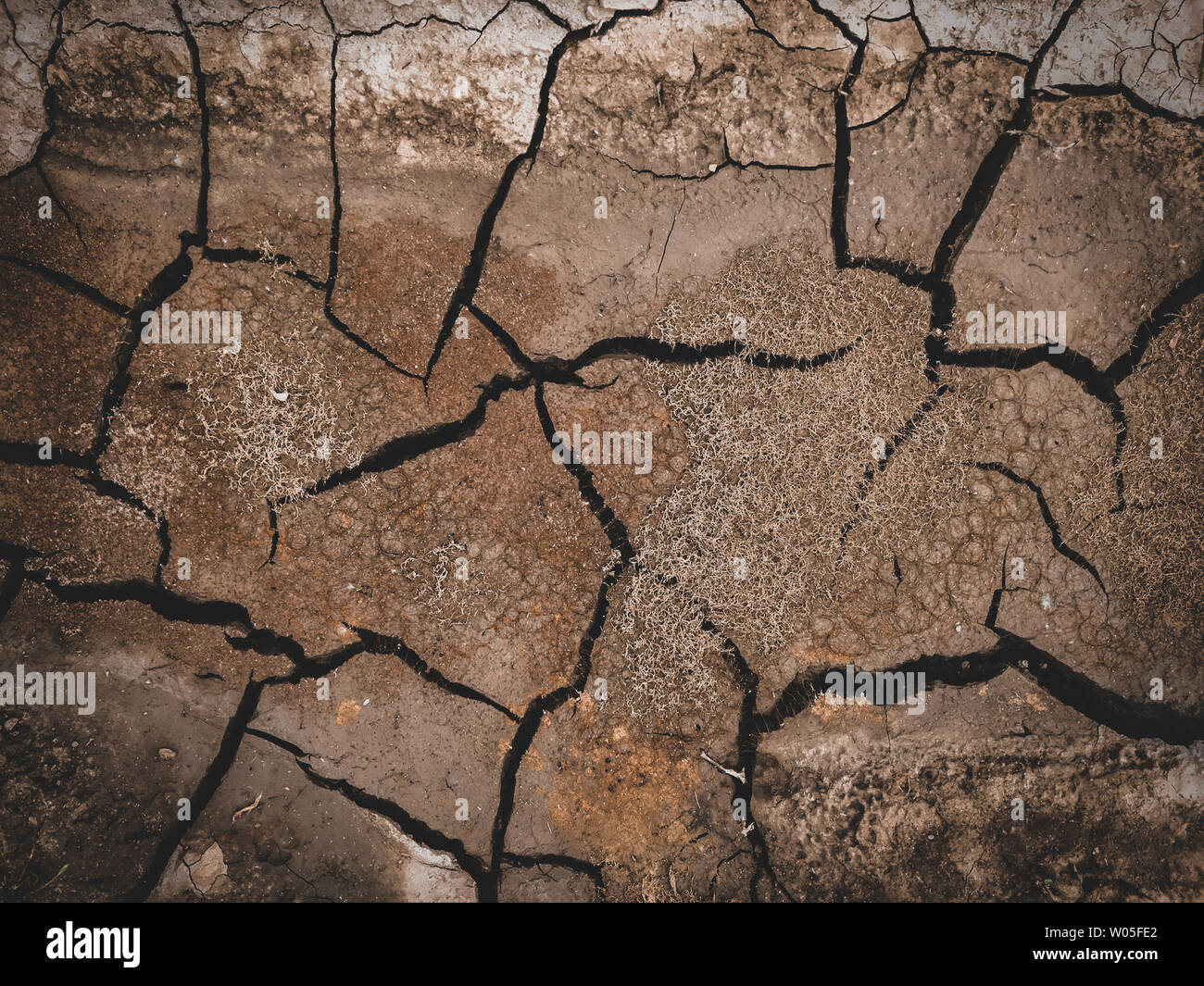 dry cracked brown earth background Stock Photo - Alamy