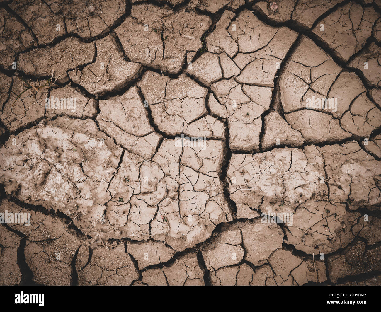 dry cracked brown earth background Stock Photo - Alamy
