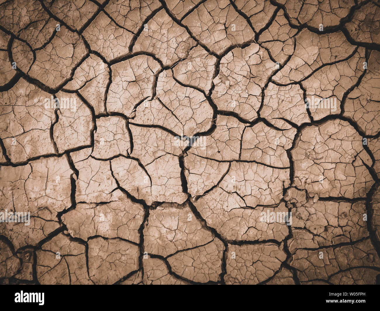 dry cracked brown earth background Stock Photo - Alamy