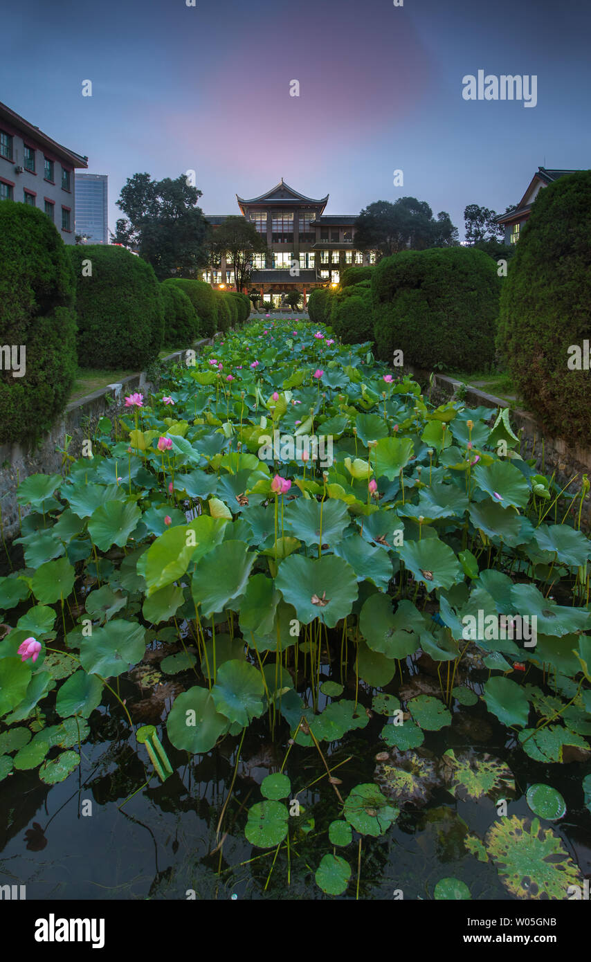 University sichuan university architecture architecture architecture ...