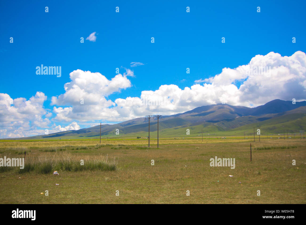 Qinghai lake qinghai lake scenery scenery around the lake hi-res stock ...