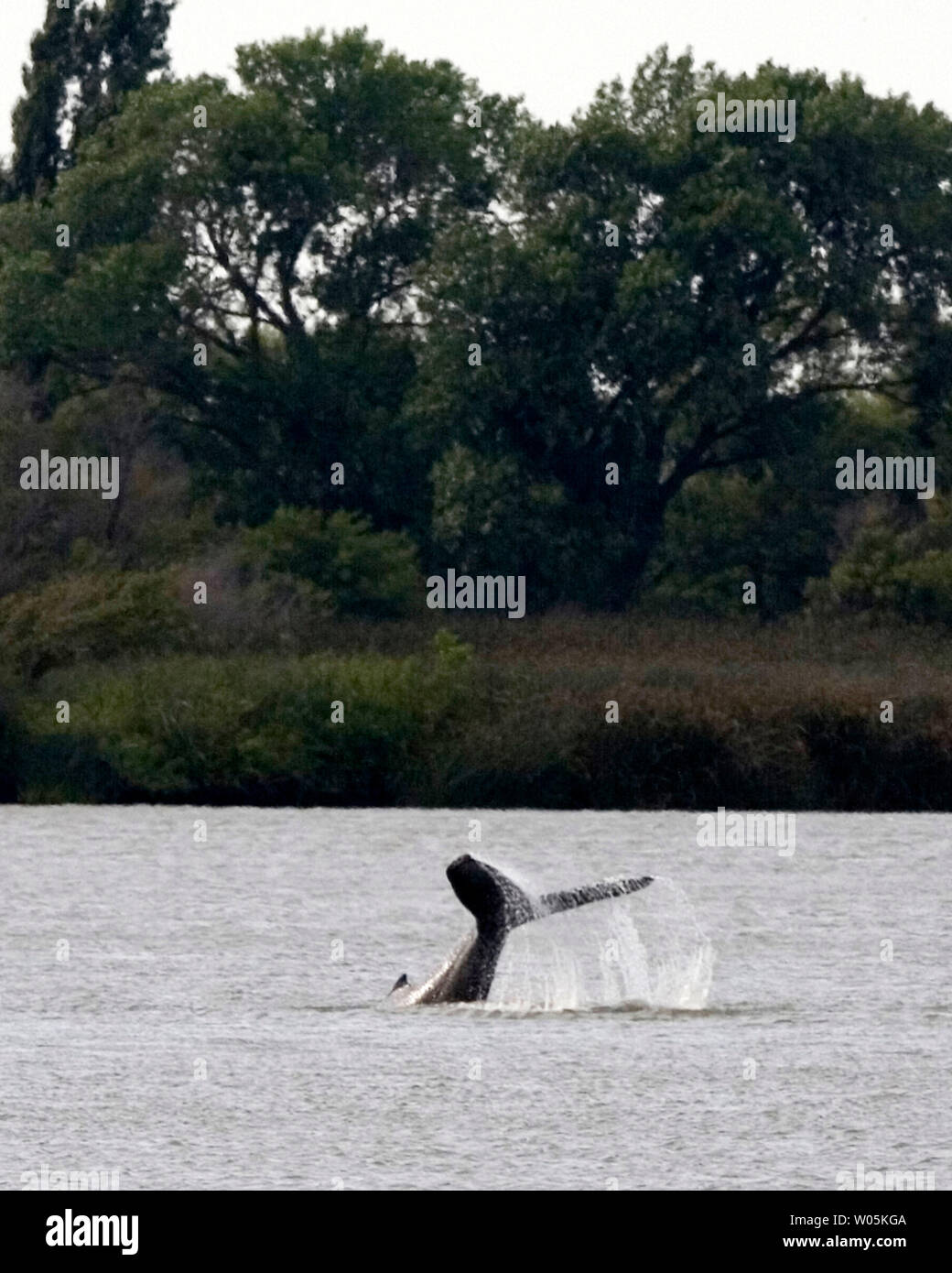 Sacramento deep water channel hi-res stock photography and images - Alamy